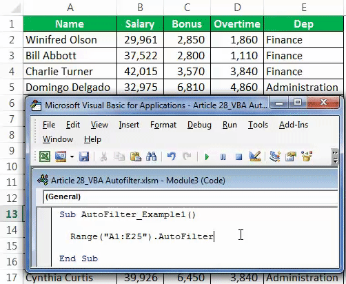 VBA AutoFilter | How to use VBA AutoFilter Criteria to Filter Data?