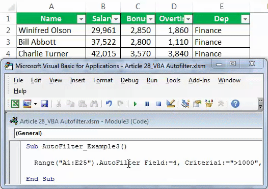 VBA AutoFilter | How to use VBA AutoFilter Criteria to Filter Data?