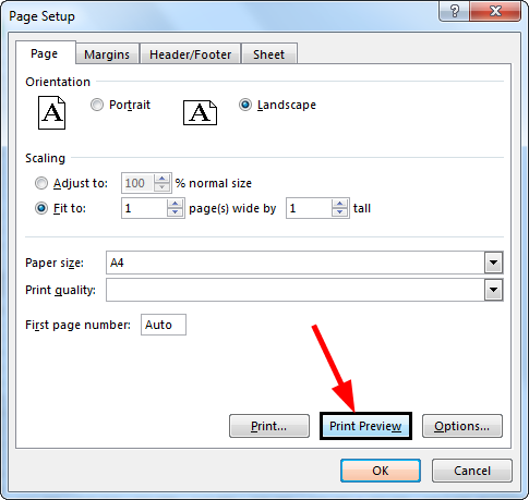 How To SetUp The Page In Excel? | 5 Easy Steps (With Examples)